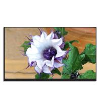 China eDP 30 Pins 13.3 LCD Screen TFT Display Module 1920*1080 for sale