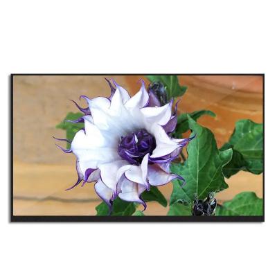 China eDP 30 Pins 13.3 LCD Screen TFT Display Module 1920*1080 for sale