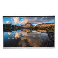 China 11.6inch  LCD Screen EDP 30pin Laptop LCD Display for sale