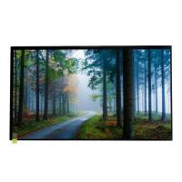 China 30ms Response Time 15.6'' Laptop Screen 10S4P WLED Backlight IPS TFT LCD Panel for sale