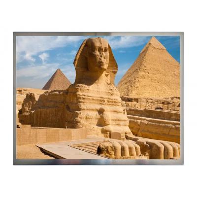 China 12.1 Inch TFT IPS Display RGB Vertical Stripe Lcd Screen Module for sale