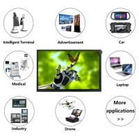 China LVDS 10.1 Inch LCD Display 1280*800 Resolution IPS Panel Customizable for sale