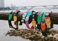 China 1 Inch Banana Print Lanyard Dog Collar for sale