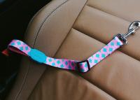 China 1.2ft Safe Pet Car Seatbelt Puppy Seat Belt Harness for sale
