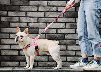 China Comfortable Breathable Dog Harness Vest No Pull Adjustable Fantasy Pink Plaid Pet Leash for sale