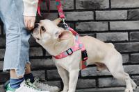 China Comfortable Breathable Dog Harness Vest No Pull Adjustable Fantasy Pink Plaid Pet Leash for sale