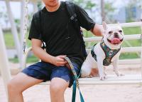 China Large Dog Walking Harness Vest For Car And Walking 32cm To 40cm Neck for sale