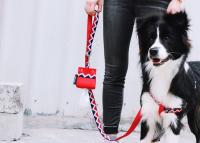 China Pink Red Hands Free Full Dog Poop Bag Holder Outdoor Dog Waste Bag Dispenser for sale