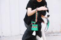 China Felt Soft Pet Dog Walking Poop Bag Holder Cute Dog Waste Bag Holder for sale