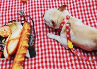 China Wide Orange Reflective Dog Collars 1 1.5 2 3 inch Personalized Reflective Puppy Collar for sale