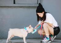 China X Small Adjustable Cute Christmas Martingale Dog Collars Reflective Collars For Stray Dogs for sale