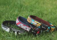 China Personalized Elastic Padded Neoprene Dog Collar And Lead With Nameplate for sale