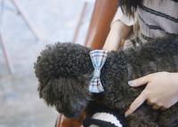 China 86CM 3 Inch Soft Handmade Cotton dog collar necklace Cats Puppy Bow Tie Collar for sale