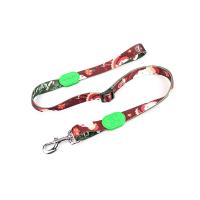 China 5 Foot 4 Foot Anti Pull Dog Leash for sale