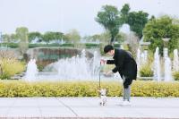 China 5 Foot 4 Foot Anti Pull Dog Leash for sale