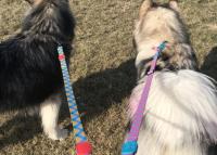 China 49ft 15m Custom Patterned Dog Leashes For Big Dogs Luxury Dog Leads for sale
