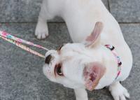 China 7.62m 25 Foot Nylon Anti Pull Dog Leash Around Chest Mouth Waist for sale