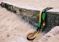 China Bicycle Adjustable Anti Pull Dog Leash 10 Meter Halti Dog Lead for sale