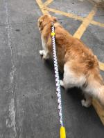 China 0.9m 3 Foot Halloween Anti Pull Dog Leash Accessories Heavy Polyester Rope Totem for sale
