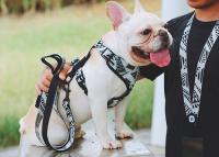 China Nylon Padded Reflective Mesh Dog Harness With Handle Puppy Chest Harness for sale