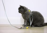 China Travel Small Cat Harness And Leash Kitten Lead And Harness for sale