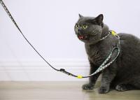 China Travel Small Cat Harness And Leash Kitten Lead And Harness for sale