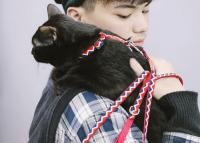 China Cat Vest Harness And Leash Set To Outdoor Walking Nylon Pet Rope Cat Chest Strap for sale