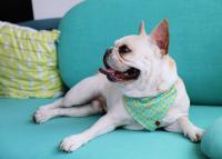 China 14x9.5cm Small Dog Bandana Collar Bibs Puppy Neckerchief Washable Triangle Plaid for sale