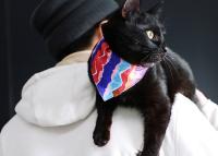 China Red Pink Bandana Dog Collar Sublimation Dog Neckerchief Collar for sale