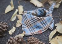 China Blue Dog Scarf Collar Puppy Bandana Collar Plaid Cotton for sale