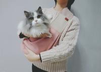 China Wearable Small Dog Pouch Puppy Carrier Shoulder Bag 30 Lbs 20 Lbs for sale