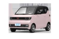 China Pure Electric Wuling HongGuang Mini EV EV-854 100km/H 2 Seater for sale