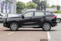 China GWM HAVAL H6 Gasoline Luxury SUV 5 Seater High Performance For Family for sale