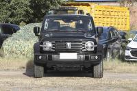 China GWM  300 Fuel Powered Car 2.0T 227HP 8AT High Speed Petrol SUV Car for sale