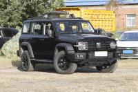 China GWM  300 Fuel Powered Car 2.0T 227HP 8AT High Speed Petrol SUV Car for sale
