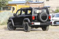 China GWM  300 Fuel Powered Car 2.0T 227HP 8AT High Speed Petrol SUV Car for sale