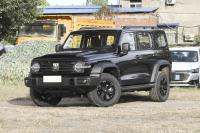 China GWM  300 Fuel Powered Car 2.0T 227HP 8AT High Speed Petrol SUV Car for sale