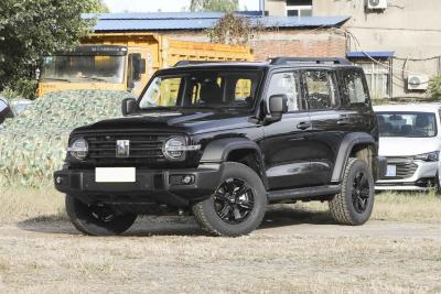 China GWM  300 Fuel Powered Car 2.0T 227HP 8AT High Speed Petrol SUV Car for sale
