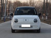 China LHD ORA R1 Mini Electric Car Sedan 102km/H 351km New Used Motor Lithium Battery for sale
