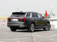 China Left Steering Luxury Electric SUV Hongqi E-HS9 660km New Energy Compact EV Cars for sale