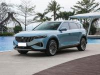 China Voyah Free SUV Electric Car 4 Wheel Drive High Speed 200 Km/h New Energy for sale