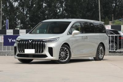 China Voyah Dreamer MPV Electric Car Luxury New Energy Left Hand Drive Vehicles for sale