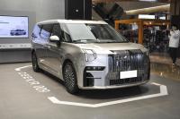 China ZEEKR 009 MPV Electric Car Hatchback Vehicle Auto Luxury EV LHD 100kwh for sale