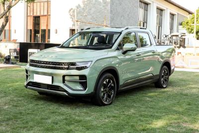 China Sports Pickup EV Car 400km Left Hand Geely Radar RD6 Electric Vehicle For Transport for sale