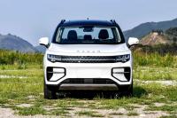 China 4 Wheel Pickup EV Car 4 Doors Electric Transport Vehicle Geely Radar RD6 185 km/h for sale