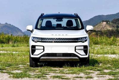 China 4 Wheel Pickup EV Car 4 Doors Electric Transport Vehicle Geely Radar RD6 185 km/h for sale
