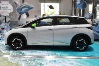 China EV BYD Dolphin Electric Car 70kW 405KM Durable 5 Seater 4 Wheel for sale
