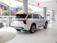 China Left Steering Suv Electric New Cars Hongqi New Energy Vehicles E-HS9 690km Flag Version for sale