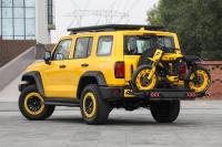 China 300 Suv Fuel Car 2.0T 227 HP L4 Gasoline Engine Petrol For High Horsepower for sale