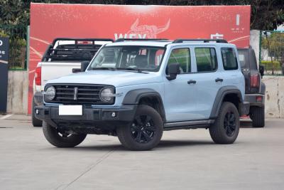 China 300 Big Suv Fuel Powered Car With Automatic Transmission And 5 Seats for sale